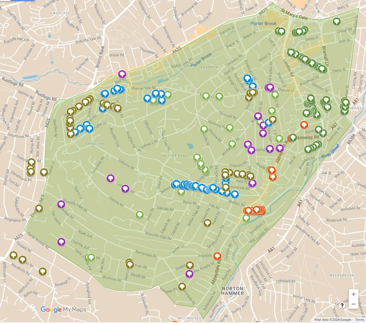 Funding additional street trees in the NESST area – Nether Edge and ...